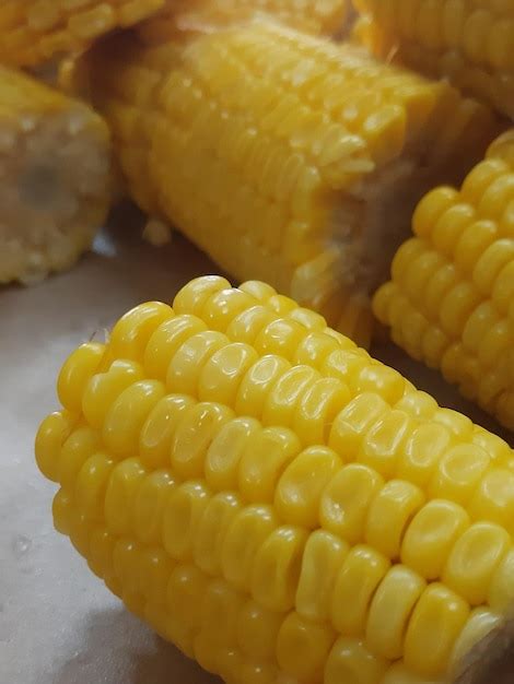 Premium Photo In Gresik