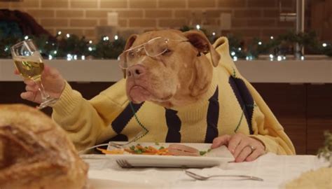 Scuttlebutt Archive Of Holiday Videos Scuttlebutt Sailing News Providing Sailing News For