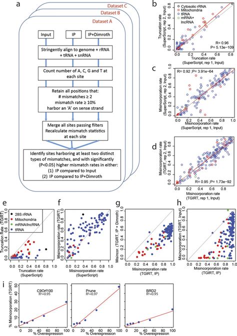 Analytical Pipeline For Identification Of M¹a Sites A Overview Of The Download Scientific