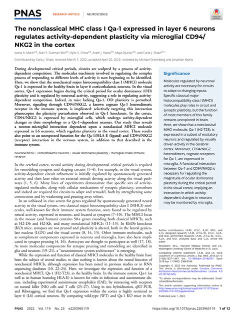 pdf the nonclassical mhc class i qa 1 expressed in layer 6 neurons