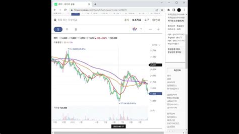 임플란트치아 관련주 레이 주가 전망 및 차트 분석 Youtube