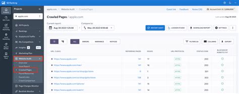 Canonical Issues FInd And Fix Them