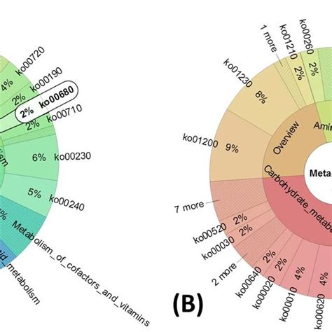 Metabolic Pathways Of Microbial Communities According To Gene Kegg Download Scientific Diagram