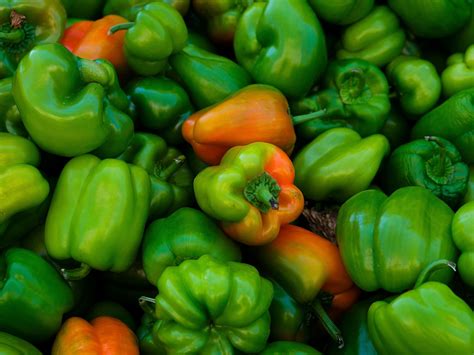 Pepper Vegetable Green Free Photo On Pixabay Pixabay