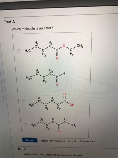 Solved Which Molecule Is An Ester What Is The Iupac Name