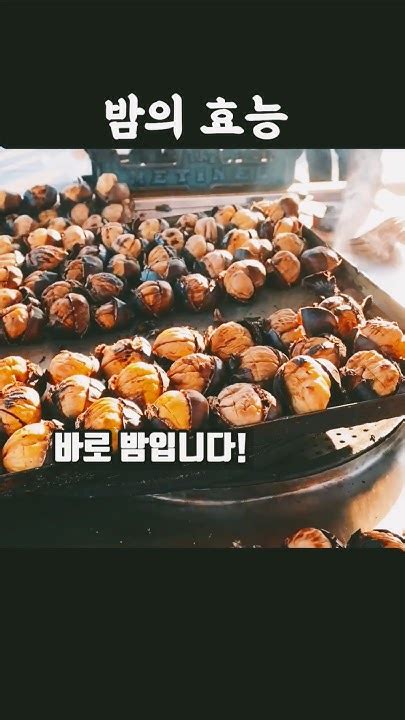 밤에 이런 효능이 Youtube