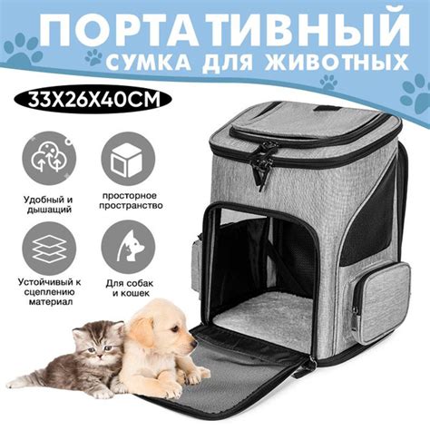 Рюкзак переноска для кошек, собак средних и мелких пород, грызунов ...