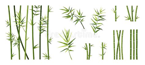 Segmented Wood Stock Illustrations 34 Segmented Wood Stock