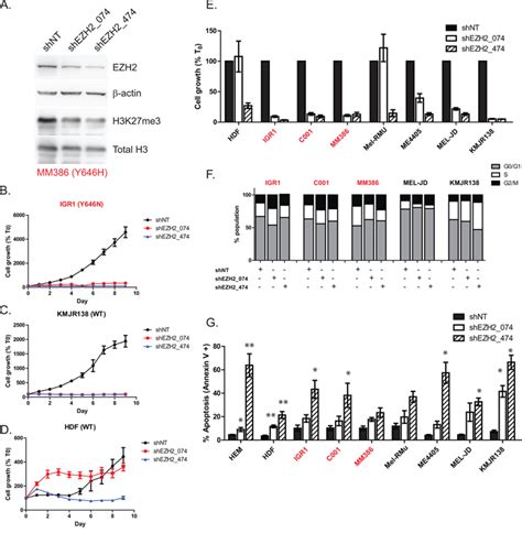Targeting Activating Mutations Of Ezh2 Leads To Potent Cell Growth