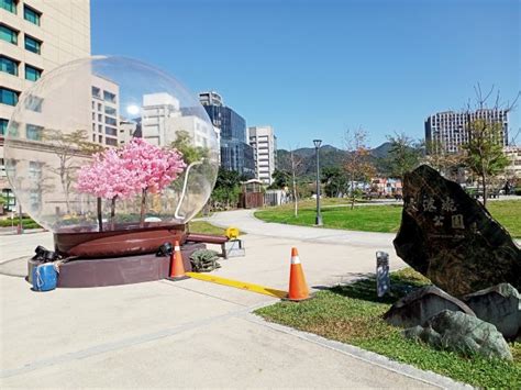 大港墘公園 光源台北 內湖燈區齊心鞋力向前走 健行筆記