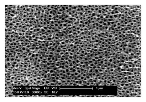 SEM Images Of TiO2 Nanostructures Under Different Anodizing Times A Download Scientific