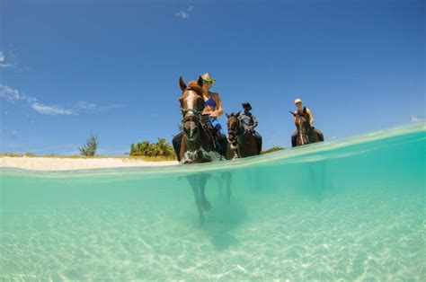 The 10 Best Things To Do In The Turks And Caicos Islands