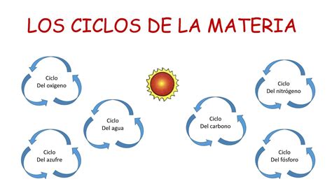 azafata Raza humana cápsula ciclo de la materia del agua Berri estético