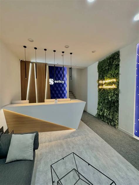 about us the leading web development company solicy