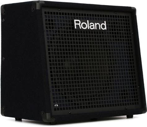 Can You Use A Keyboard Amp For Acoustic Guitar Ins
