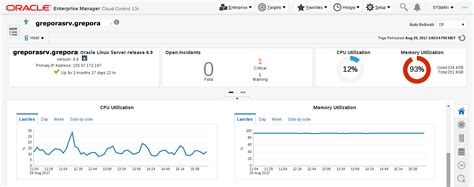 Oem Metric “memory Utilization” Different On 12c And 13c Grepora