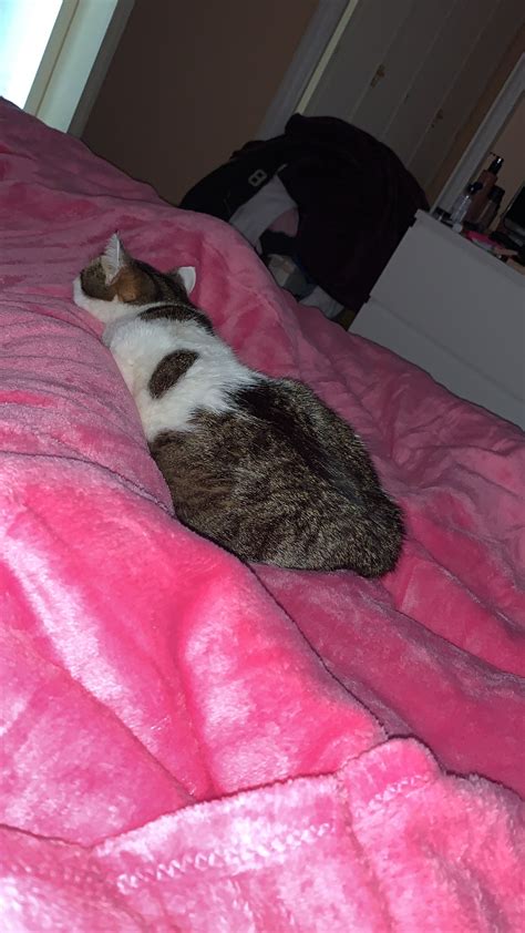 Megan Inky On Twitter Https T Co E F H Rag Twitter