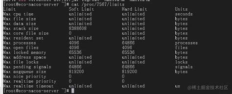 Socketexceptiontoo Many Open Files 解决方案 掘金