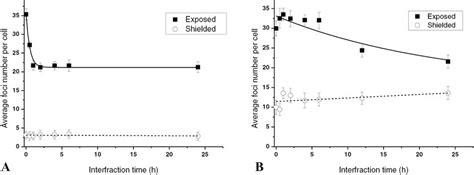 Dna Damage Kinetics For 53bp1 Following Exposure To A Modulated Field