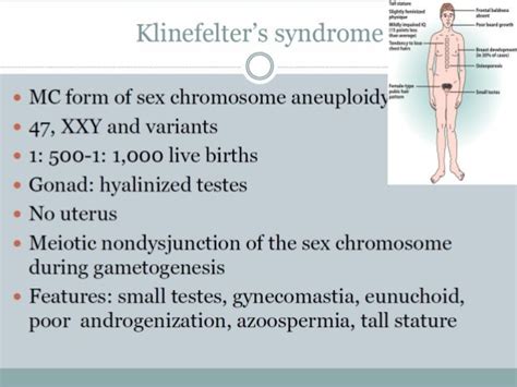 Clarifying Ambiguous Genitalia