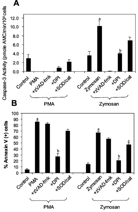 Pma And Zymosan Stimulation Of Freshly Isolated Human Neutrophils