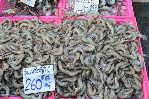 ตลาดสดสะพานปลาอ่างศิลา ชลบุรี