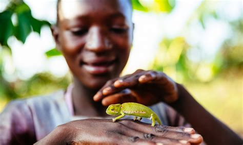 2022 Living Planet Index Report Summary Of The Top Ten Issues