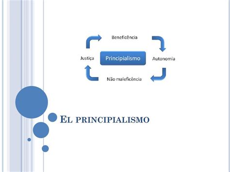 Principios De Bioética Bioética Facultad De Enfermería Udocz