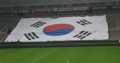 네이버 붉은악마에 초대형 태극기 전달