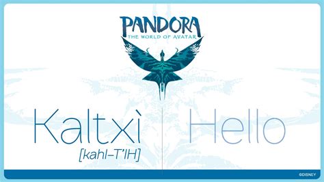 Infographic: Learn to Speak Na’vi For Your Trip To Pandora – The World ...