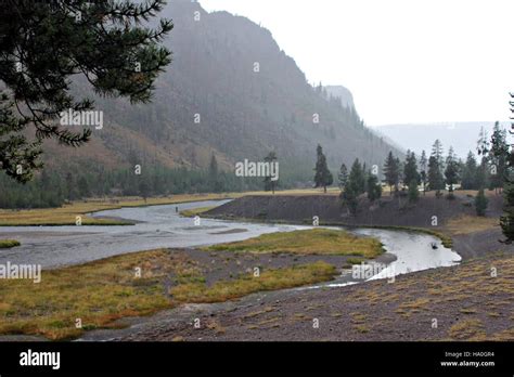 Madison Campground Located In Yellowstone National Park Provides A