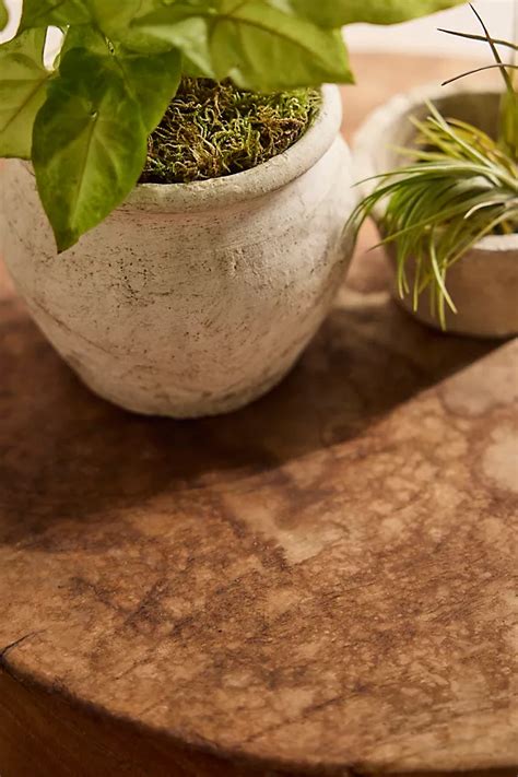 Teak Root Side Table Anthropologie