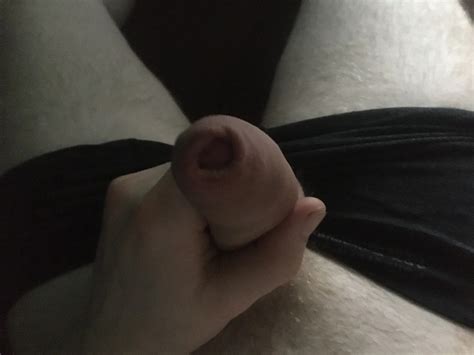 Dick And Balls 33 Pics Xhamster