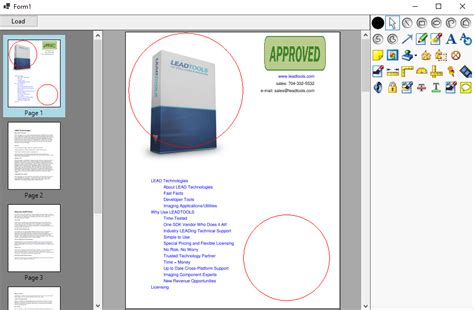 Create A Custom Annotation With The Document Viewer Winforms C