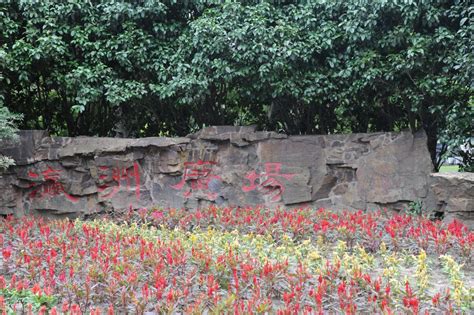 2025瀛洲公园游玩攻略 崇明原先叫瀛洲，所以在崇明 【去哪儿攻略】