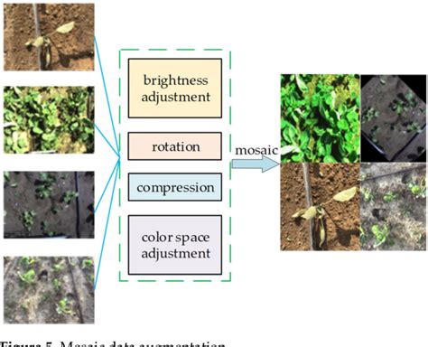 Figure 5 From Design And Experimental Verification Of The Yolov5 Model