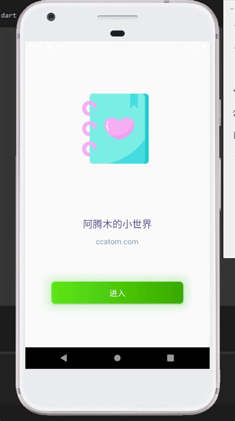 一个简单的启动页布局 flutter 阿腾木的小世界