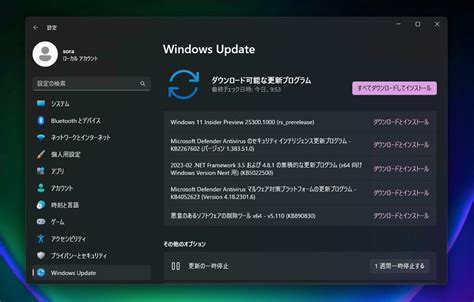 Windows Insider Preview Build Dev