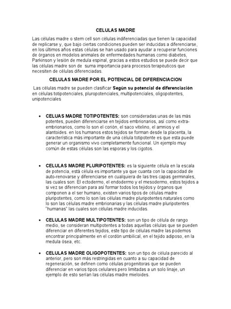 Células Madre Tipos Y Aplicaciones Pdf Potencia Celular Célula Madre