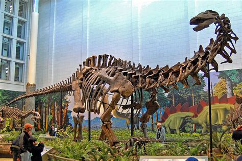 Long Neck Dinosaurs Names And Characteristics Science Trends