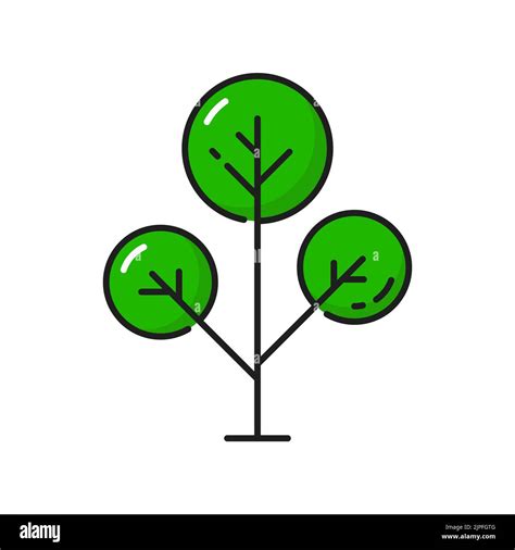 Tree Icon In Line Green Forest Oak Or Pine Silhouette Vector Flat Symbol Thin Line Tree
