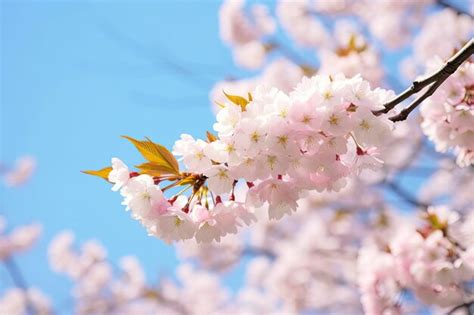 Premium Ai Image Pink Petals