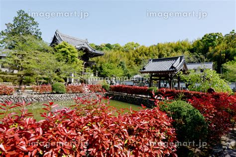 粉河寺 境内 和歌山県紀の川市の写真素材 158864026 イメージマート