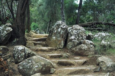 Premium Photo Rocky Steps On Forest Walking Trail