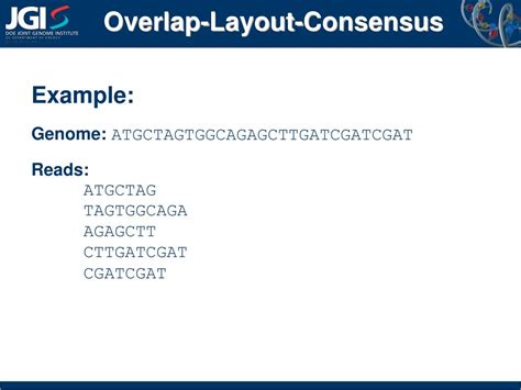 Ppt De Novo Genome Assembly Powerpoint Presentation Free Download