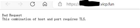 内网穿透时报错【bad Request This Combination Of Host And Port Requires Tls】的原因