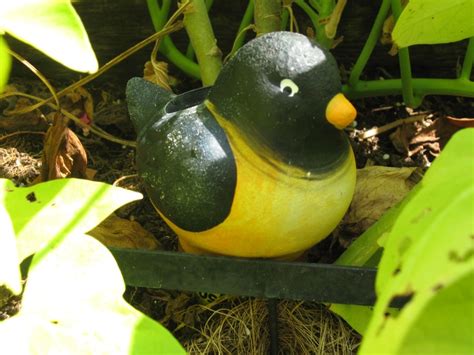 Water Stake For Plant Care In Hot Weather