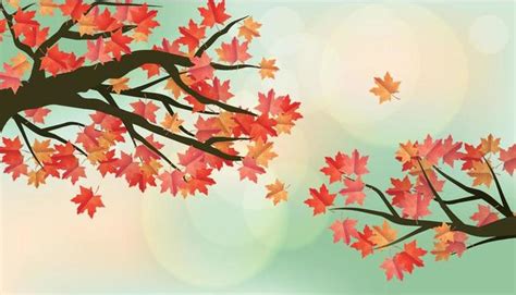 Maple Tree Branch Vector Art Icons And Graphics For Free Download