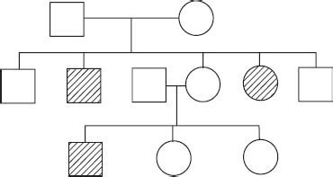 Study The Pedigree Chart Given Below What Does It Show