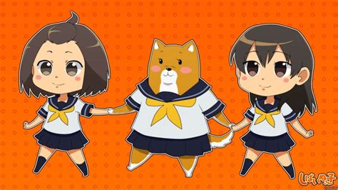 Shiba Inuko San 2012 Plex